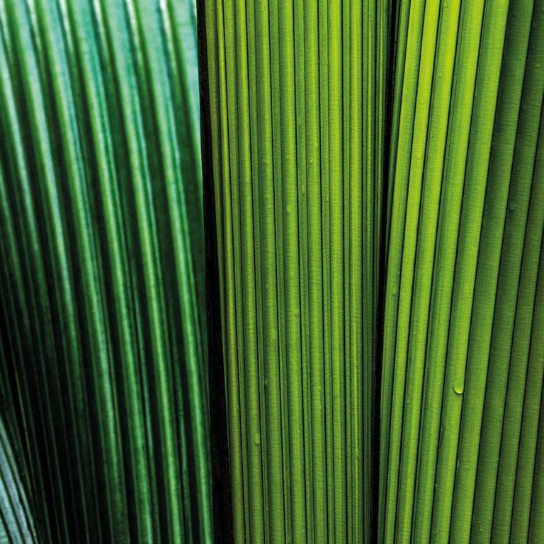 Accounting Services | Newcastle Accountants - UNW